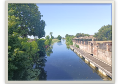 Gillick competency and Fraser guidelines – Tulip Academy Spalding